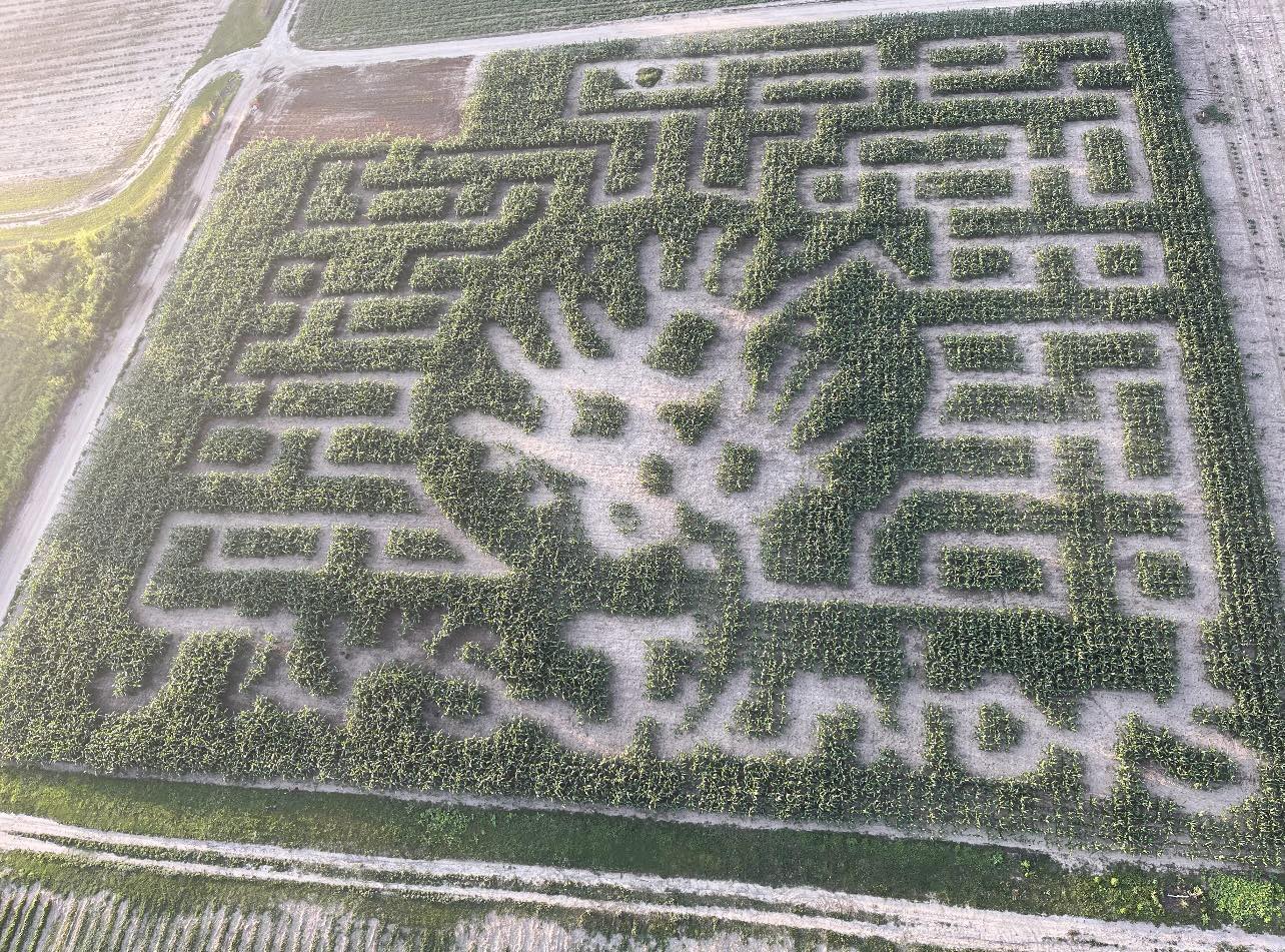 A-Maze-ing Fall: Exploring Corn Mazes in Metro Detroit - Chevy Detroit